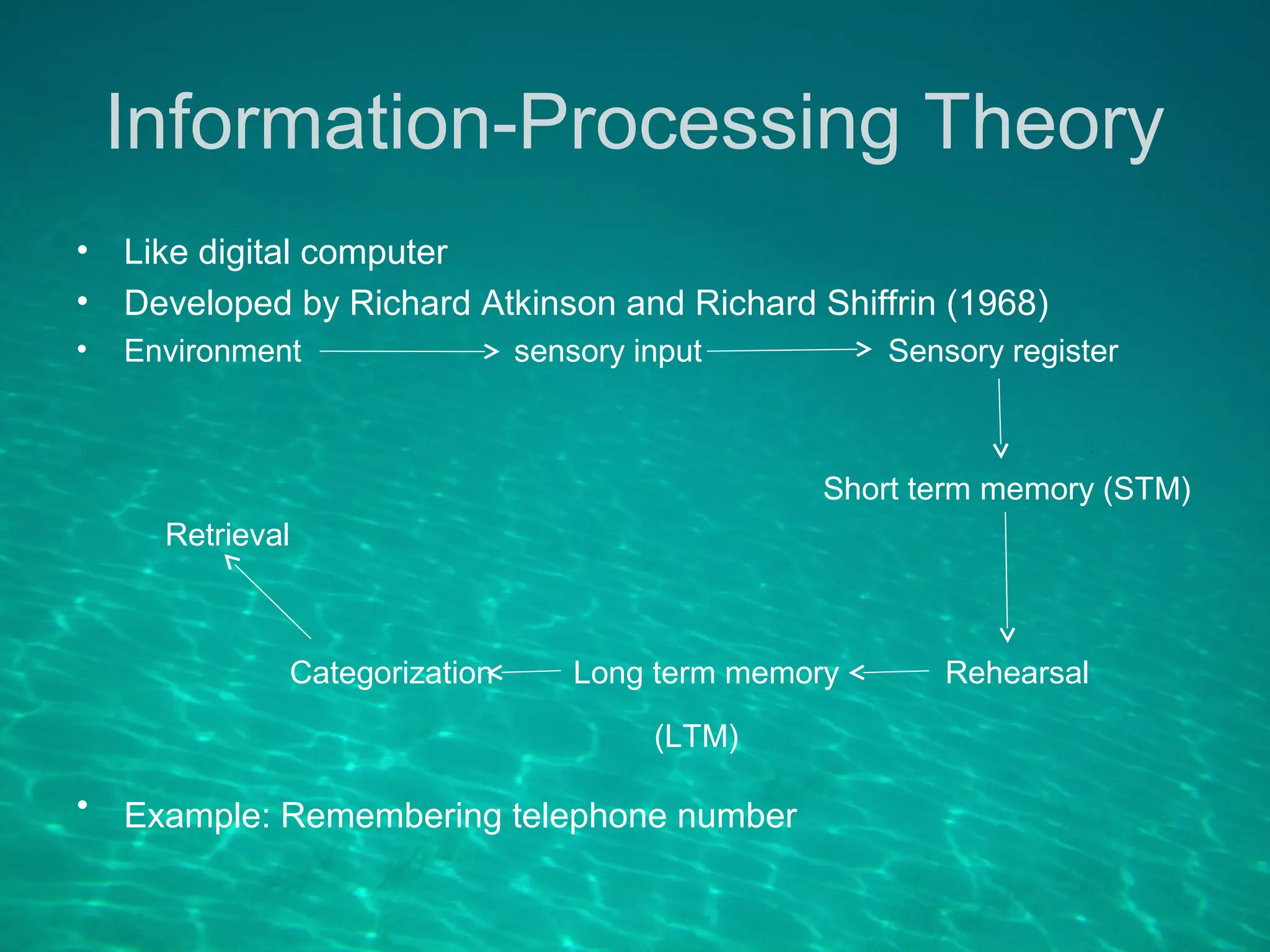 Memory theories | PPT