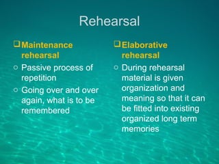 Memory theories | PPT