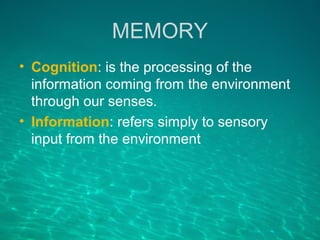 Memory theories | PPT