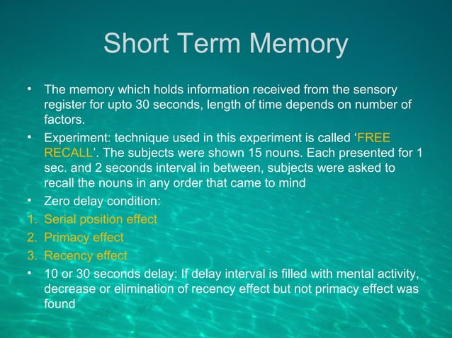 Memory theories | PPT | Data Storage and Warehousing | Computing