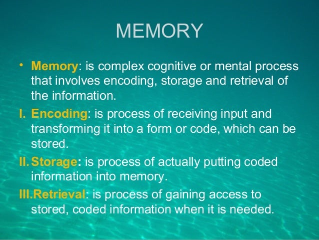 Memory theories