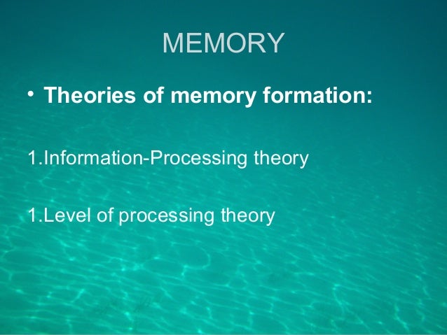 Memory theories