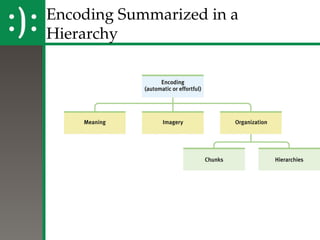 Memory and Cognition Unit PPT AP Psychology.ppt