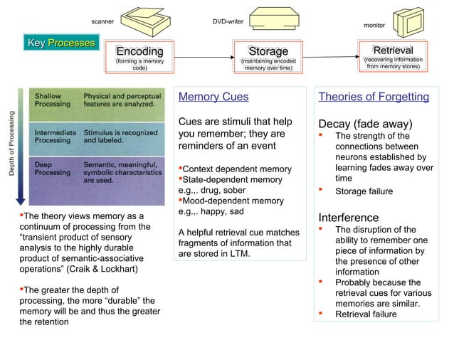 Disorders of Memory (2007) | PPT