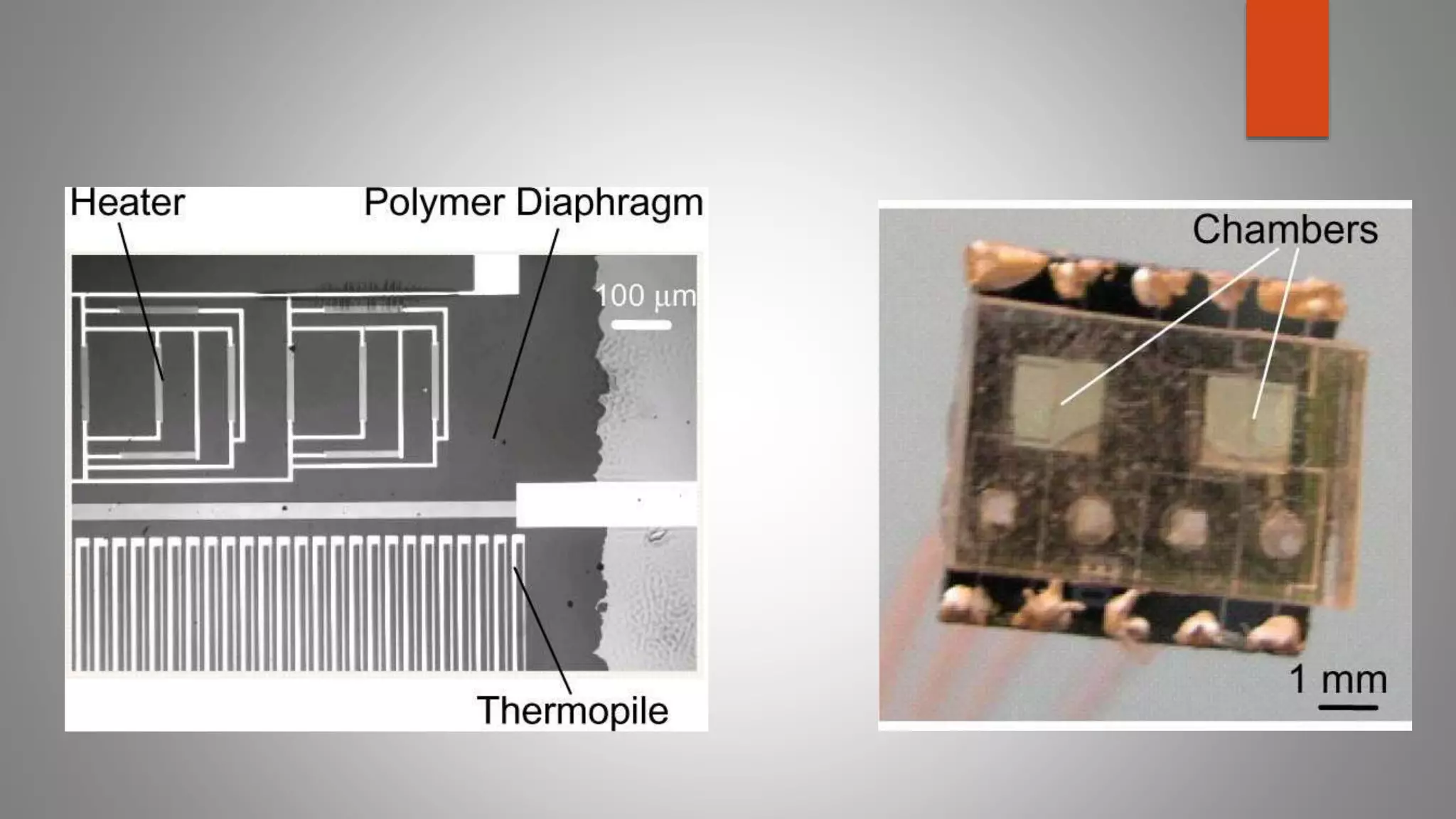 MEMS Thermal Biosensor | PPTX