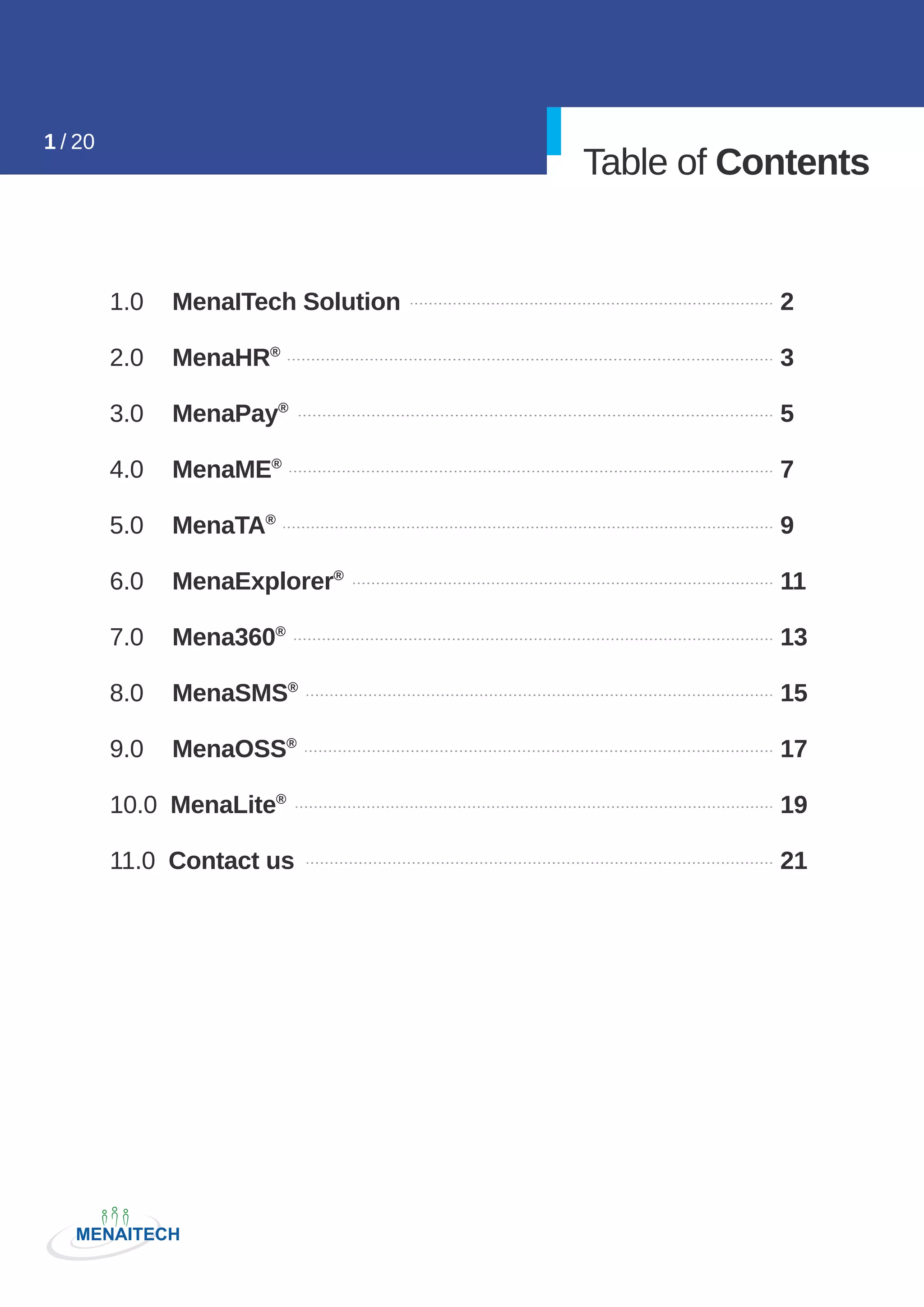 MenaITech Technical Profile | PDF