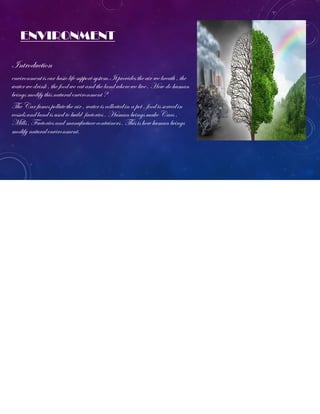 menaka PPT ON ENVIRONMENT AND ITS COMPONENTS | PDF