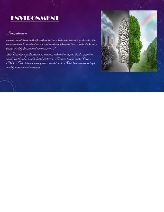 menaka PPT ON ENVIRONMENT AND ITS COMPONENTS | PDF