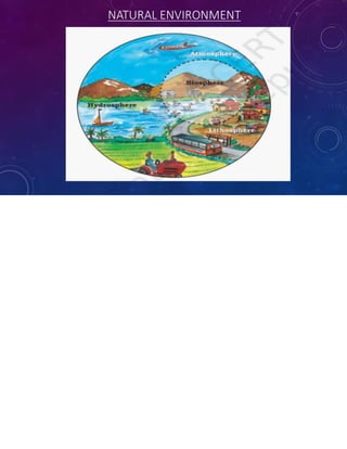 menaka PPT ON ENVIRONMENT AND ITS COMPONENTS | PDF