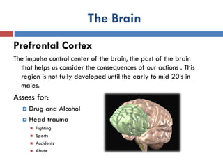 Men and Depression | PDF