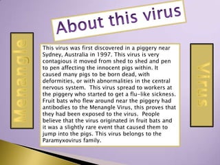 Menangle virus | PPTX