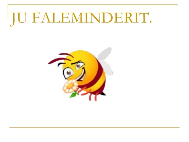 Menaxhimi i Burimeve Njerëzore