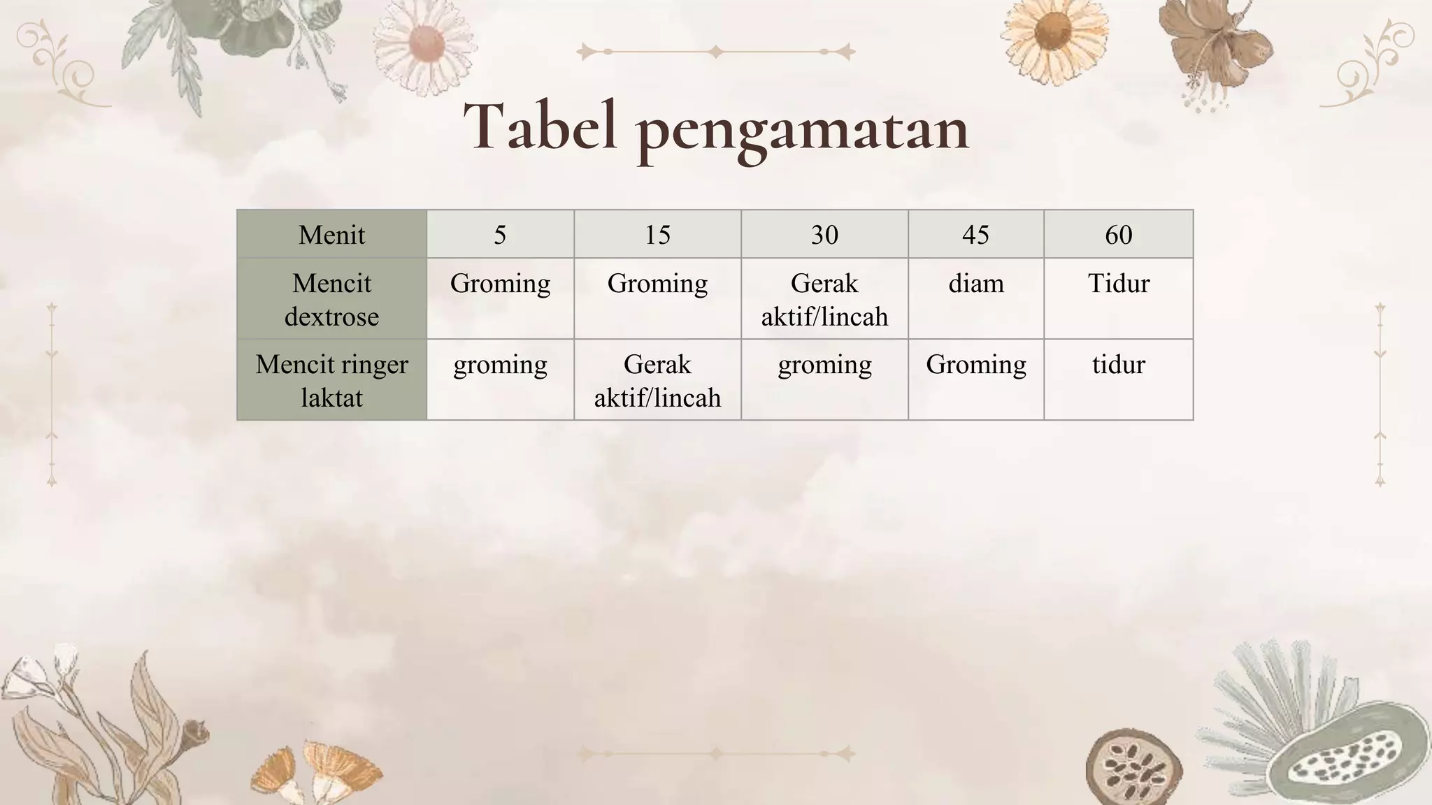 MENCIT IV KEL 5.pptx