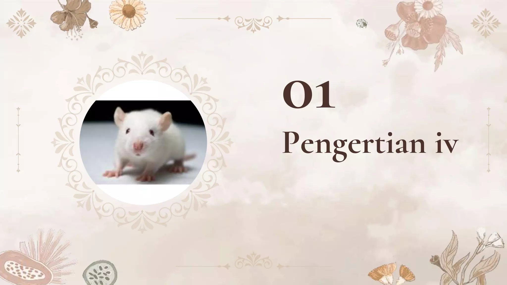 MENCIT IV KEL 5.pptx