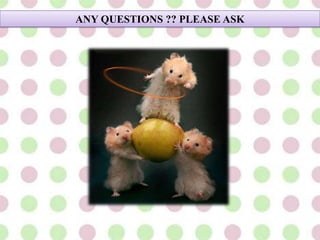 Mencit (mus musculus) sebagai hewan coba | PPTX