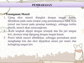 Mencit (mus musculus) sebagai hewan coba | PPTX