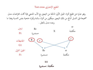 قوانين مندل | PPTX