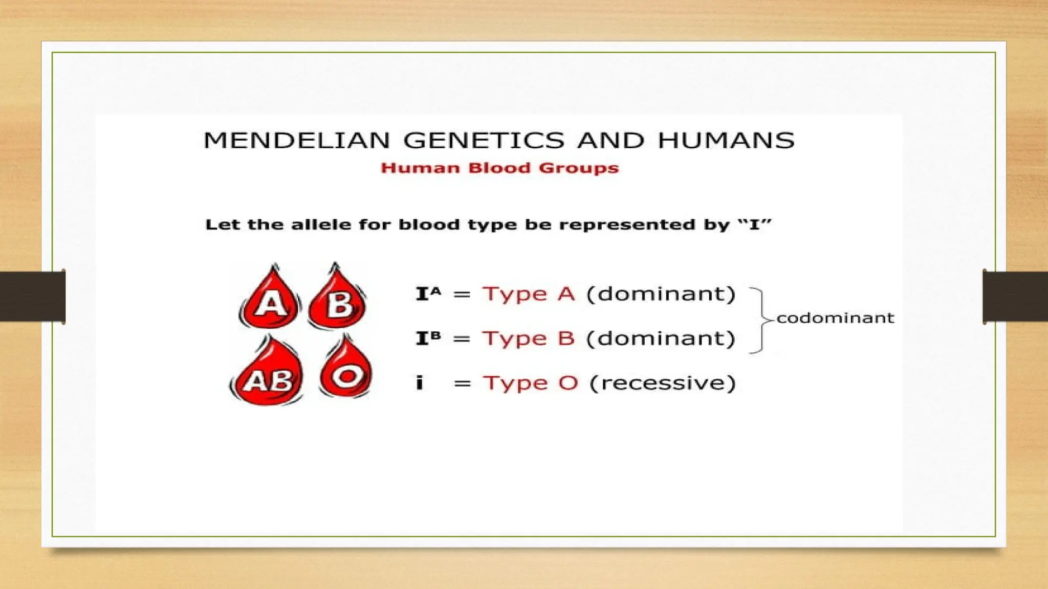 MENDALIAN PRINCIPLE IN HUMAN GENETIC EXAMPLESpptx | PPTX