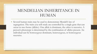 MENDALIAN PRINCIPLE IN HUMAN GENETIC EXAMPLESpptx | PPTX