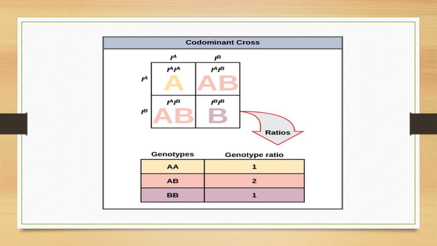 MENDALIAN PRINCIPLE IN HUMAN GENETIC EXAMPLESpptx | PPT