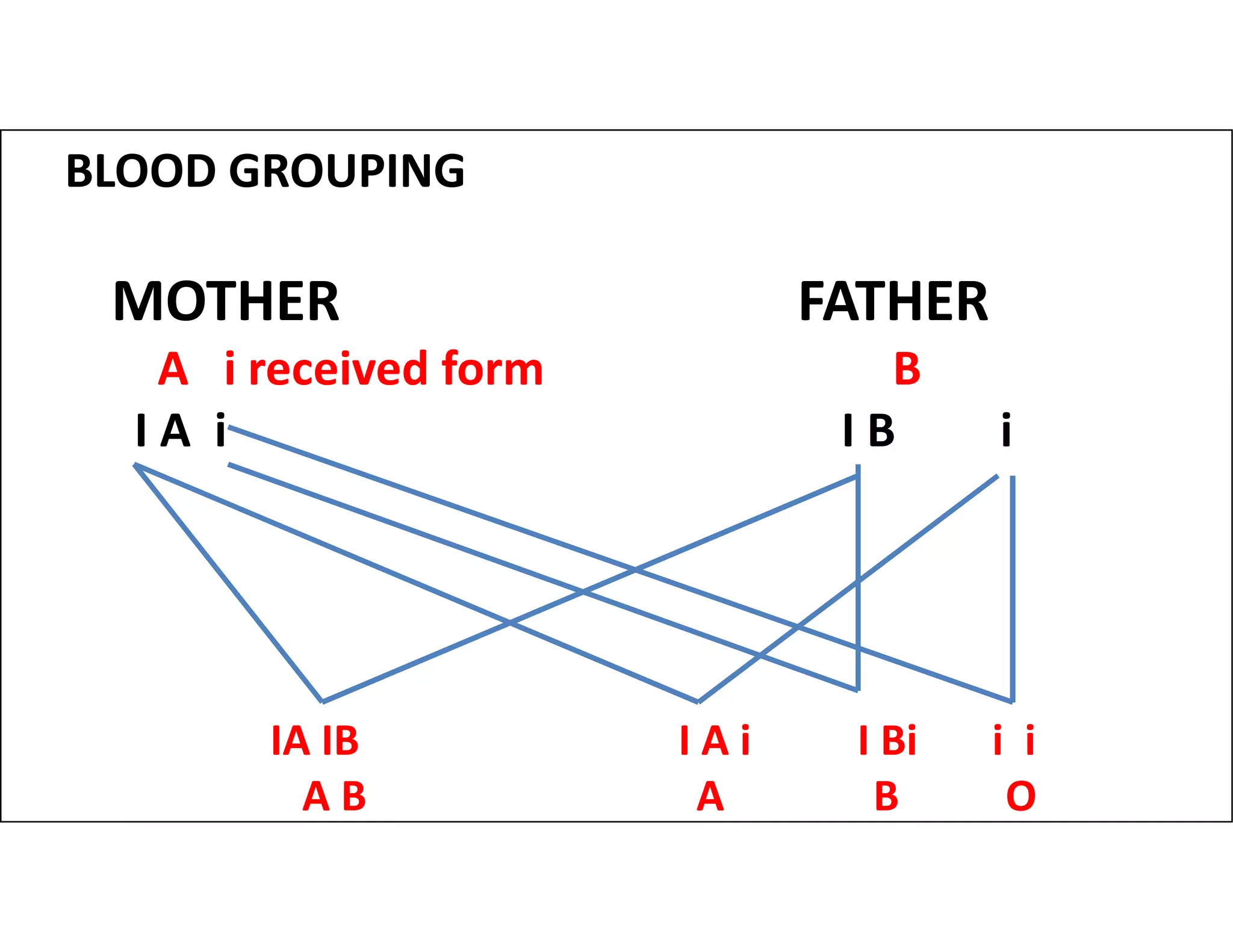 MENDALIAN THEORY OF INHERITANCE AND MULTIPLE BLOOD ALLOTS AND BLOOD ...