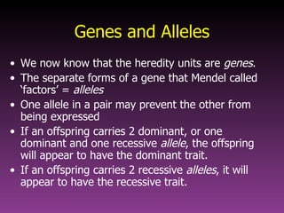 Mendel | PPT