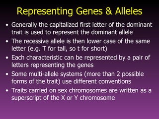 Mendel | PPT | Genetics | Science