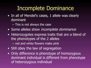 Mendel | PPT | Genetics | Science