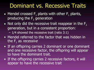 Mendel | PPT | Genetics | Science