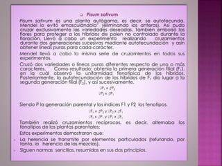 Leyes de Mendel | PPTX | Biological Sciences | Science