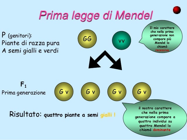Le leggi di G.Mendel