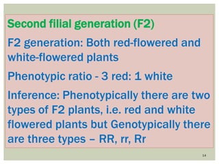 Mendel 151210153707 | PPT