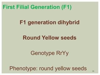 Mendel 151210153707 | PPT