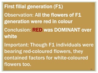 Mendelian Genetics | PPT