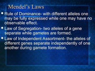 Introduction for genetics and Mendel.ppt