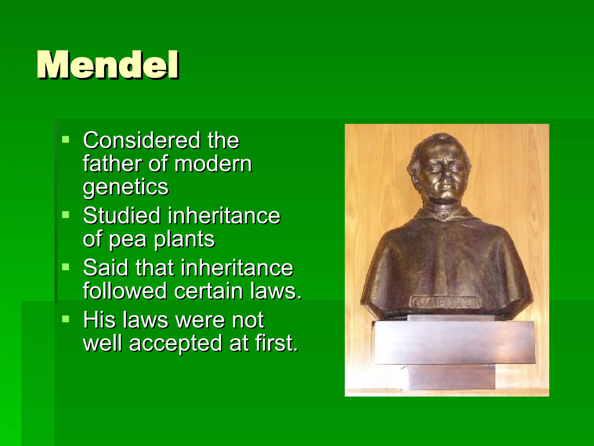 Mendel And Mendelian Genetics | PPT