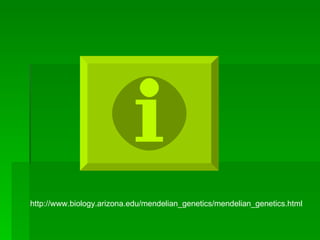Mendel And Mendelian Genetics | PPT