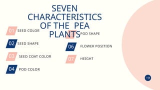 Grade 9 Quarter 1 Gregor Mendel Genetics | PPTX