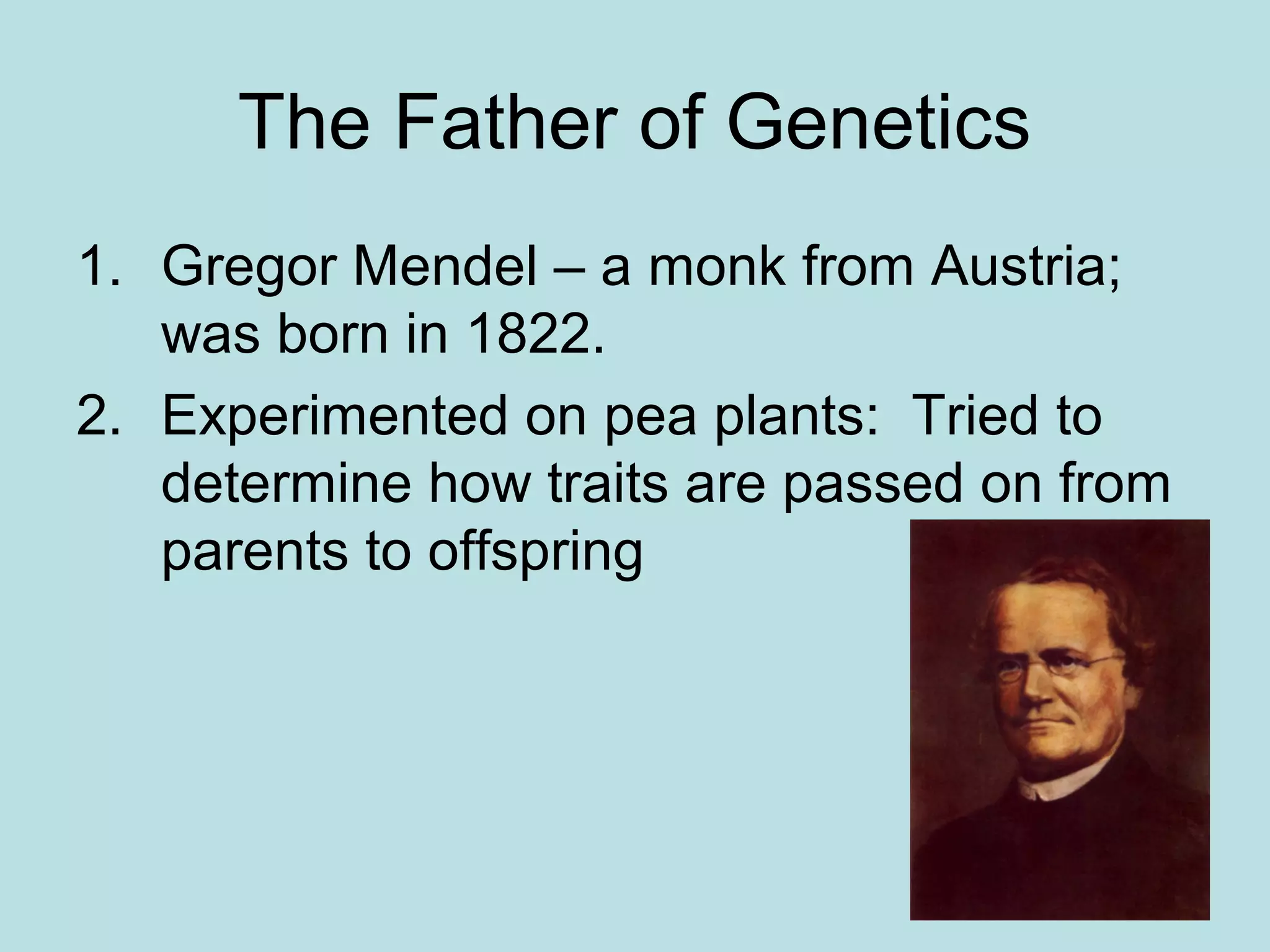 Mendel and genetics | PPT