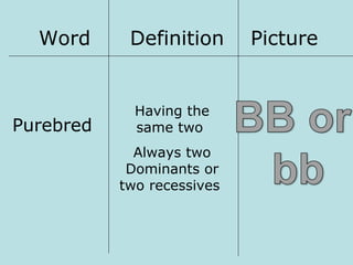 Purebred Definition Science