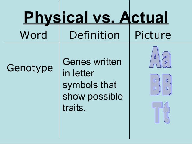 Genotypes Meaning