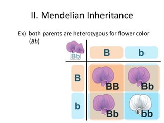 Mendel and genetics unit 2 | PPTX