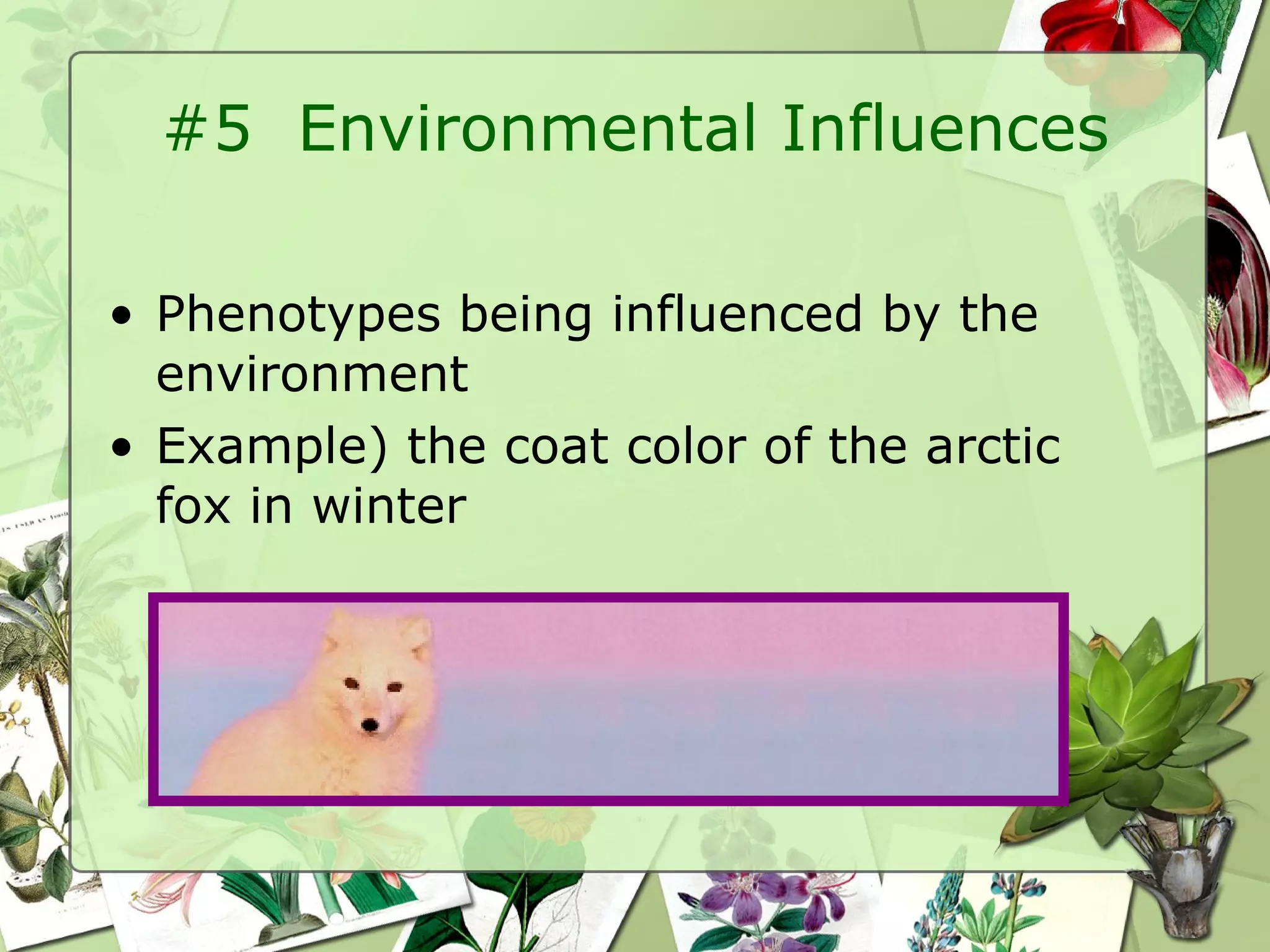 Mendel and heredity | PPT
