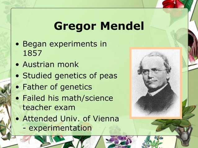 Mendel and heredity | PPT