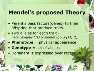Mendel and heredity | PPT