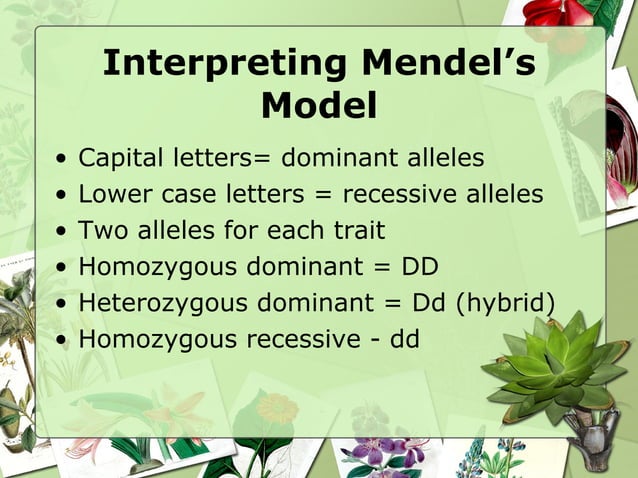 Mendel and heredity | PPT