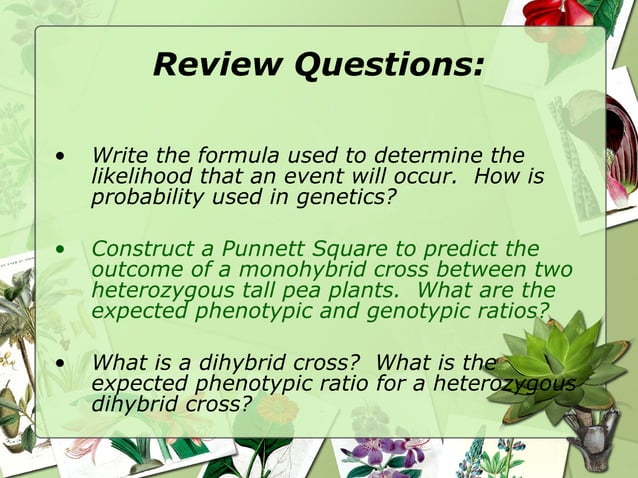 Mendel and heredity | PPT