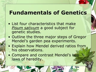 Mendel and heredity | PPT