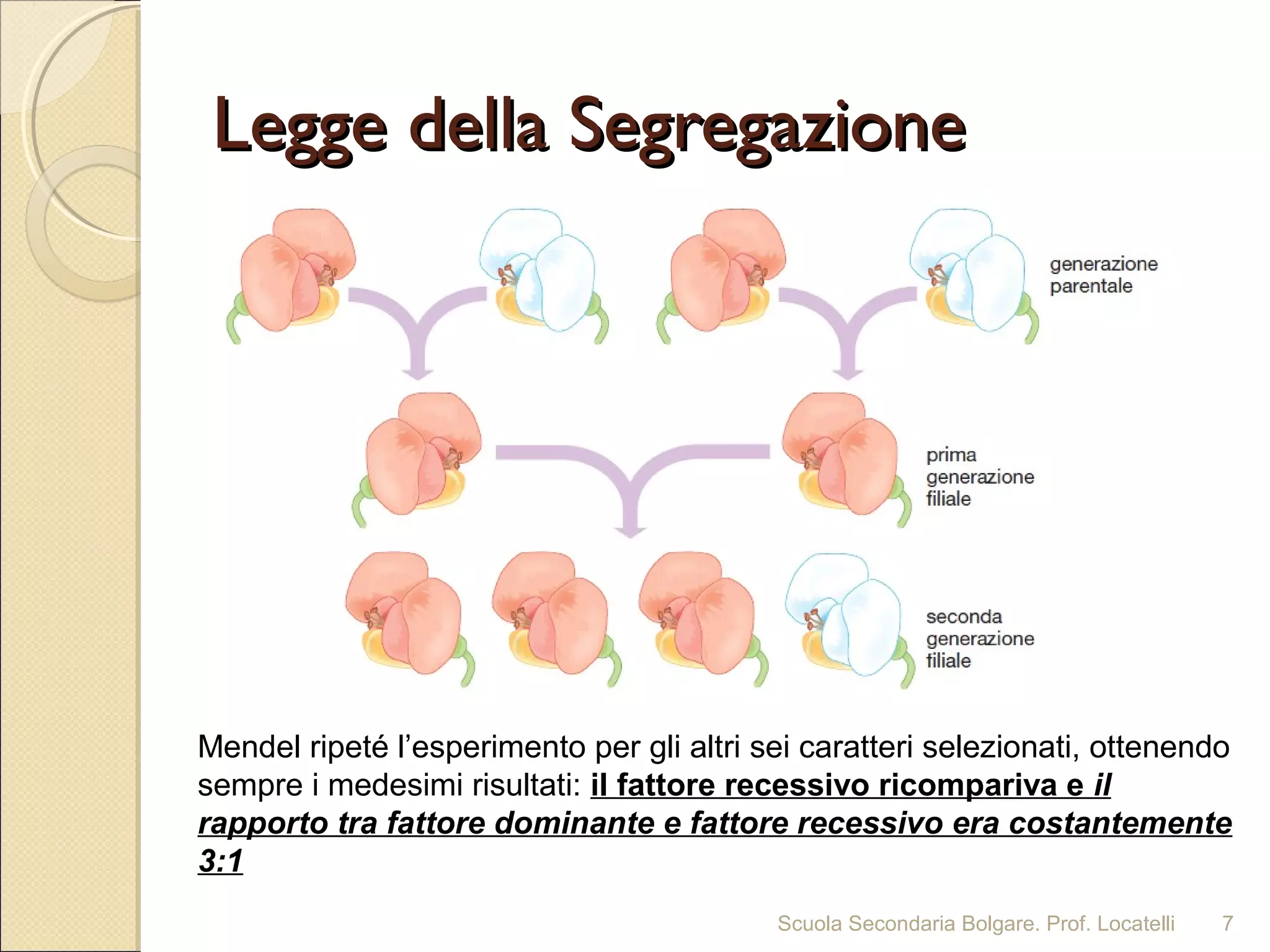 Mendel e la genetica | PDF