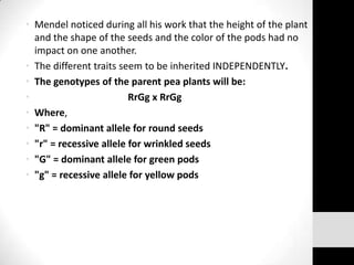 Gregor mendel | PPTX